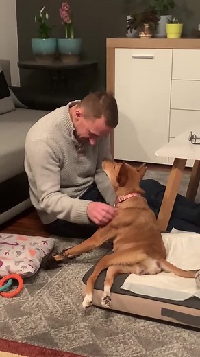 52K views · 203 reactions | Dobby’s core memory of falling in love with her owner is literally being formed before our eyes. Quality time well spent! | Rumble Dogs | Facebook