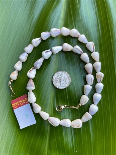 Hawaiian Baby Cone Shell Necklace - Etsy
