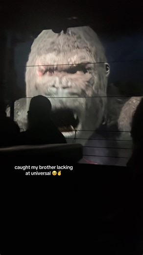 #universalstudios #viral #fyp #real | universal studios theme park