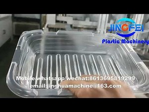 PP Food Box Thermoforming Machine, Plastic Thermoforming, Vacuum forming machine 4 Station machine
