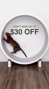 Your cat’s got energy to burn, give them space to run. Right now, save up to $30 on the Cat Exercise Wheel that keeps them moving and your home intact. | One Fast Cat | Facebook