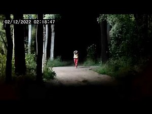 2 Hours Of Disturbing Videos From Around the Internet [ Vol.2 ]