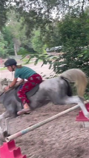 @Equestrian792 yesss serenity