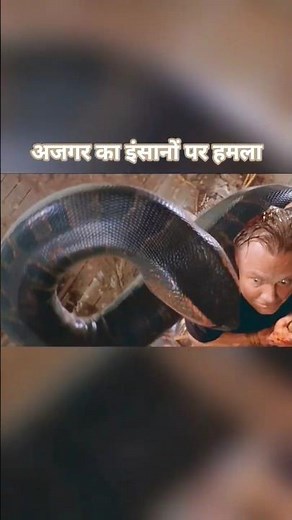 अजगर का इंसानों पर हमला attack of boa on humans #boa #snake #reptile #aligator #maneater