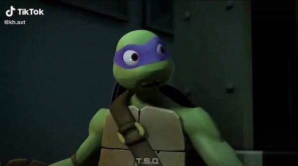 Donatello Turtle Ninja: A Holi Moly Sound Meme