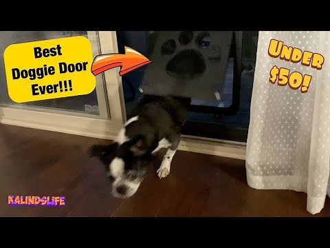 How to Install a Pet Dog or Cat Door on a Sliding Screen Door! DIY