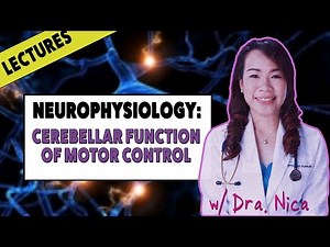 Lecture - Neuro Physiology: Cerebellar Function of Motor Control