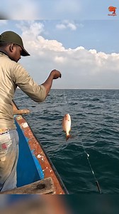 17K views · 116 reactions | Catching Vermillion Snapper & Horse-eye Jack in the Sea #fishing #fishingvideos #fishingtime | Neerulagam | Facebook