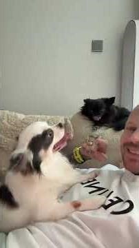 Pourquoi Romy elle a les yeux rouges Neon 😂 elle fait peur 😱