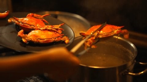 clip-4005553089-professional-chef-cooking-mediterranean-seafood-dishes ...