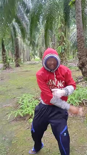 The Process of Honey Extraction
