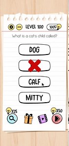 Brain Test Level 100 what is a cat's child called Walkthrough answer