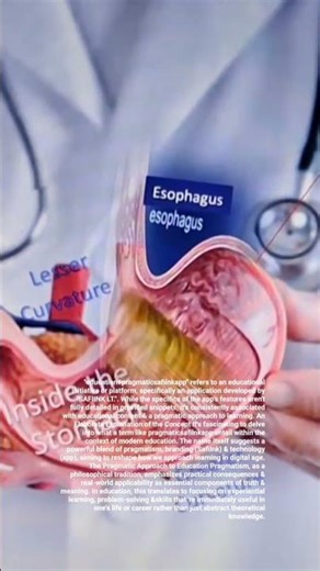 #education#pragmaticsafiinkapp @Safiink719 @safii719ilab @SafiInkApp