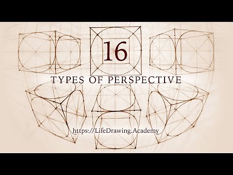 16 Types of Perspective