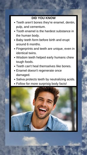 Your Teeth Are Not Bones — And That Changes Everything