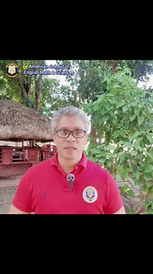 You need more than 45-50 minutes a day of reading instruction to improve reading comprehension! Here's how to do it! #reading #literacy #teachingenglish | American School of English Math and Sciences