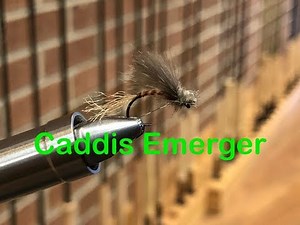 Caddis Emerger Fly