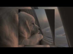 Taco Hemingway - Następna stacja (speed up)