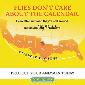 𝗧𝗶𝗿𝗲𝗱 𝗼𝗳 𝗯𝘂𝘇𝘇𝗶𝗻𝗴, 𝗯𝗶𝘁𝗶𝗻𝗴 & 𝗮𝗻𝗻𝗼𝘆𝗶𝗻𝗴 𝗳𝗹𝗶𝗲𝘀? Take control of today's fly population and lock in 2025 prices for 2026. Order now and step into a fly-free future! | Spalding Labs