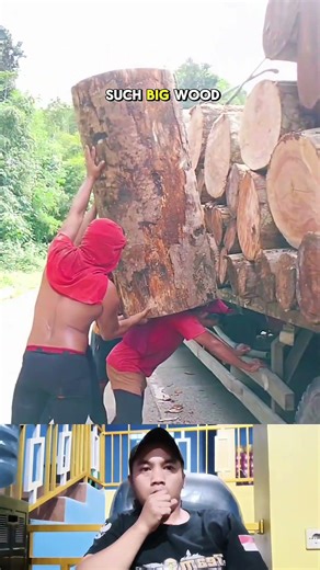 how to lift large logs with super great power #tutorials #woodscraft #woodworking #cuttingskils #fyp