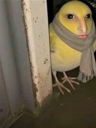 I'm so goated (ignore the glitched text) #anime #giftok #viral #fyp #love