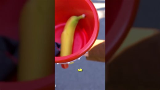 How to build and launch a banana launcher from scratch