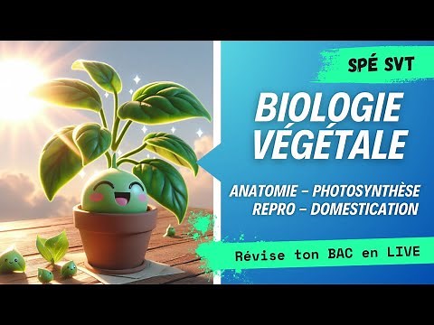Révisions BAC spé SVT : BIOLOGIE VÉGÉTALE !