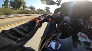 Angry bike 🤬 ride safe this weekend #bikelife #madmaxy #motorcycles #moto #superbike #cbr #motorsport | Mad Maxy