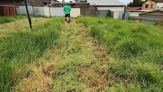 More than just another free clean up job