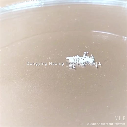 Super Absorbent Polymer Hydrogel Potassium Polyacrylate Plant Gel for Agriculture Use