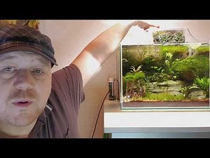 CO2 unsichtbar und hocheffizient ins Aquarium einbringen JBL ProFlora Unboxing Installat Test Review