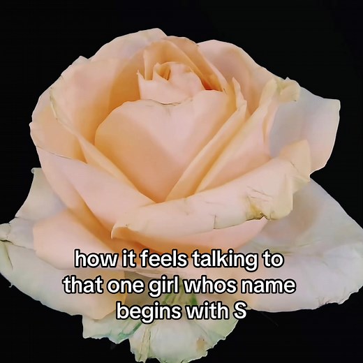 Love s ❤️#fyp #fypage #flowers #prettyflowers #flowersblooming #foryoupage #viral #natureedit #foryou #nature