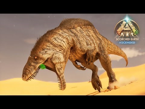 Spawn Locations of Scorched Acrocanthosaurus || Ark Scorched Earth Ascended