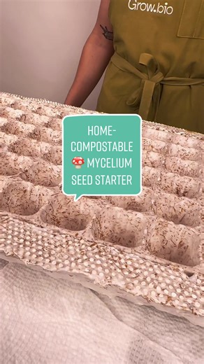 Eco-Friendly Seed Starters: Grown from Mycelium and Home-Compostable