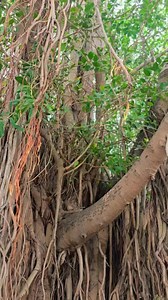 175K views · 4.5K reactions | Intha jodi epdi ? | Ethirneechal serial - season 2 | Facebook