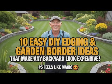 10 Easy DIY Edging and Garden Border Ideas That Make Any Backyard Look Expensive #5 Feels Like Magic