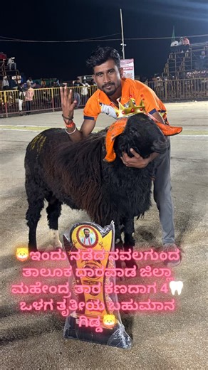 ಜೈ ಹನುಮಾನ್ ಬೇಲೂರ ಗಿಡ್ಡ | 🦁🦁🦁ತಾರ ಕಣ🦁🦁🦁 | Instagram