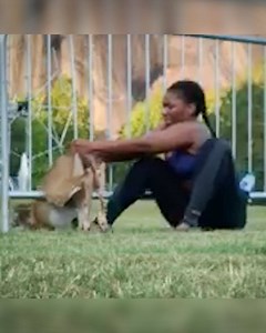 2.6M views · 3.2K reactions | It was the most fantastic deer rescue caught on video, until it happened again seconds later. 歷  | Humankind | Facebook