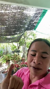 198K views · 9.9K reactions | Patya nalang ko ninyo! Dili jud me Magkasinabot sa Mga dinasooorrr ♥️ Please subscribe to my YouTube Channel and Click the bell button below for more Pahugyaw vlog ⬇️⬇️⬇️ https://www.youtube.com/watch?v=hMxTUNP1BGw&feature=share | Nang Adoracion official | Facebook