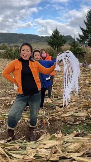 New technical harvesting corn #corn #farmlife #countryside # 54