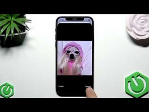 How to Change App Icons on iPhone