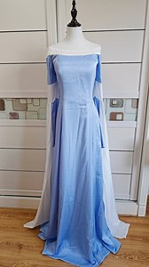 Inspired Princess Bride Buttercup Blue Dress Cosplay Costume - Etsy