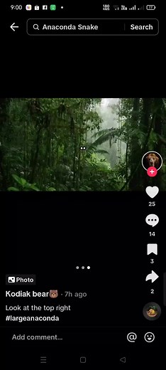 Giant Congo Snake: The Enormous Snake of the Congo