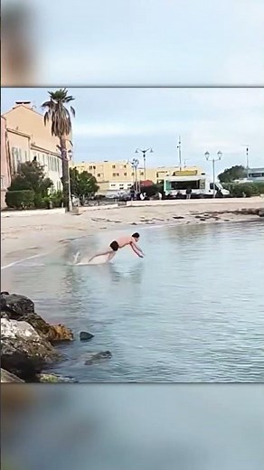 Octopus vs Human — Human Wins