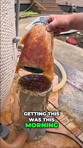 Pool Filter Nightmare! Rust & Kids' Clean Water Desires!