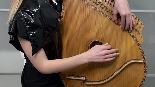 107K views · 9.9K reactions | Evanescence - Bring Me To Life | Bandura and Button Accordion Cover. | B&B Project | Facebook