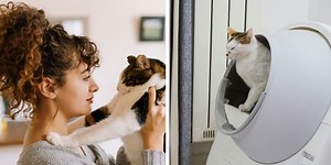 Upset cat owners are warning about dangerous 'knock off' automatic litter boxes