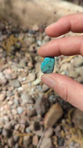 Stunning Piece of Turquoise I Found in the Wash! #rockhoundarizona Full length video: https://youtu.be/n-fesvuappY I was hiking to do some rockhounding at an abandoned mine and I had to pass over a wash. I found this beautiful piece of raw turquoise that was tumbled smooth by the water! It will make a nice pendant or large ring. #rockhoundarizona #rockhounding #rockhoundingforbeginners #rawgemstones #roughgemstones #minerals #rawturquoise #roughturquoise #copperminerals #abandonedmines #coppermi