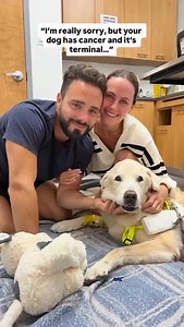 10K views · 467 reactions | As we approach the anniversary of Simba’s...