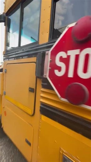 2017 Blue Bird Vision